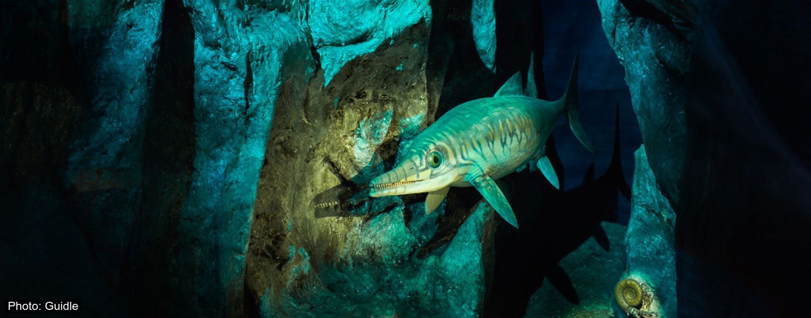 Baselland Tourismus | Dino & Saurier – Lebendige Bilder vergangener…